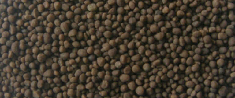 What is Di-Ammonium Phosphate (DAP) - Amoghavarsha IAS Academy